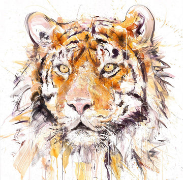The Art of Dave White available from Startle
