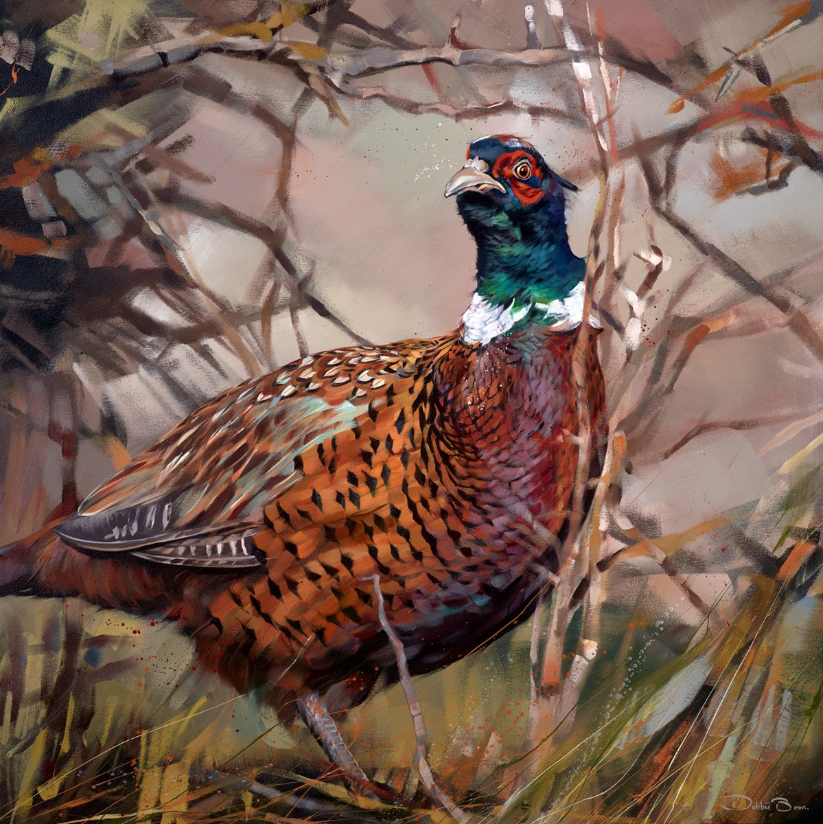 Hidden in the Thicket by Debbie Boon – Startle